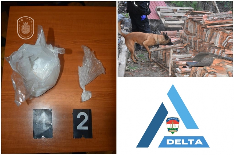 DELTA Program | A Rendőrség hivatalos honlapja